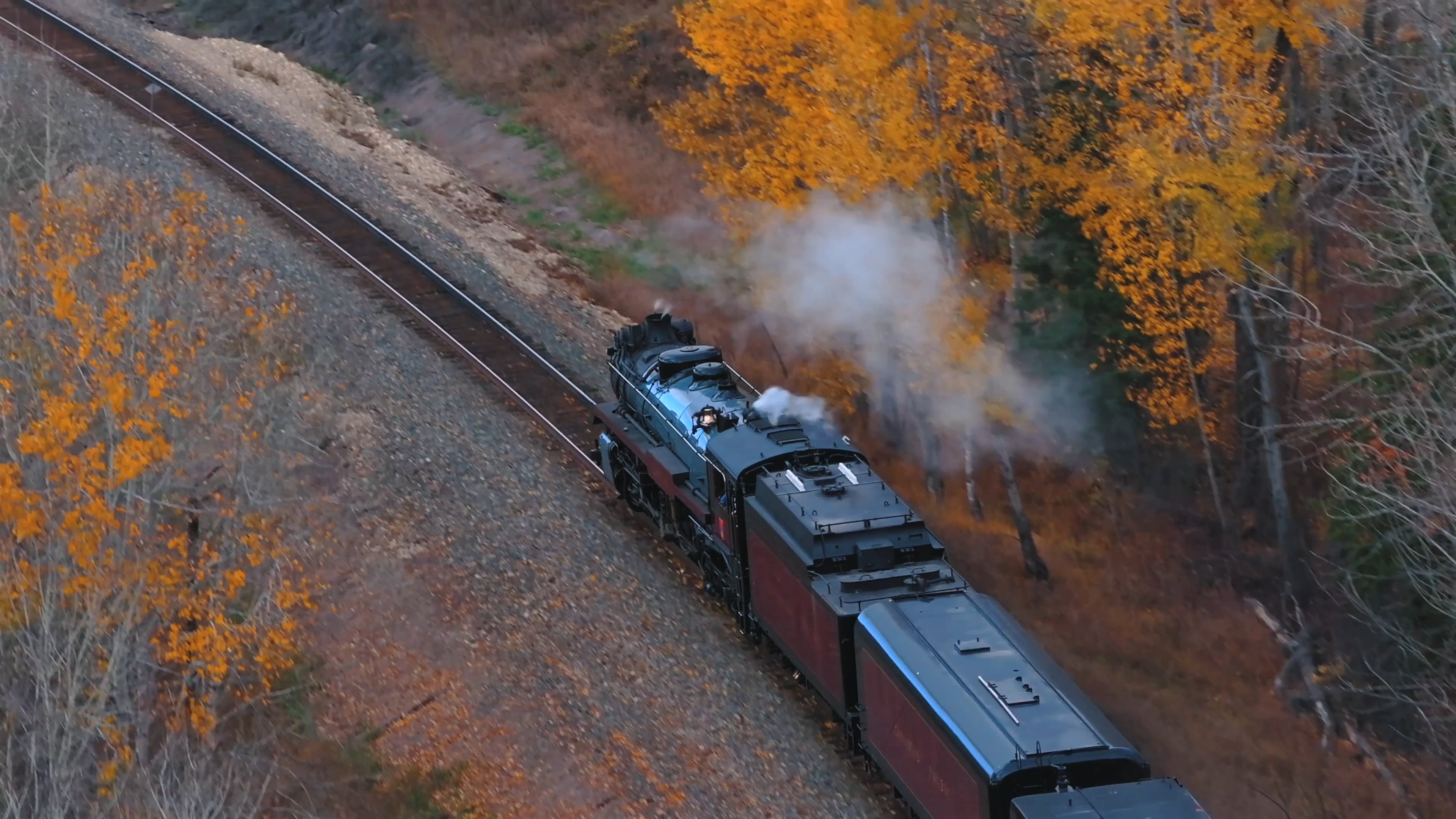 Final Spike 2816 Steam Train